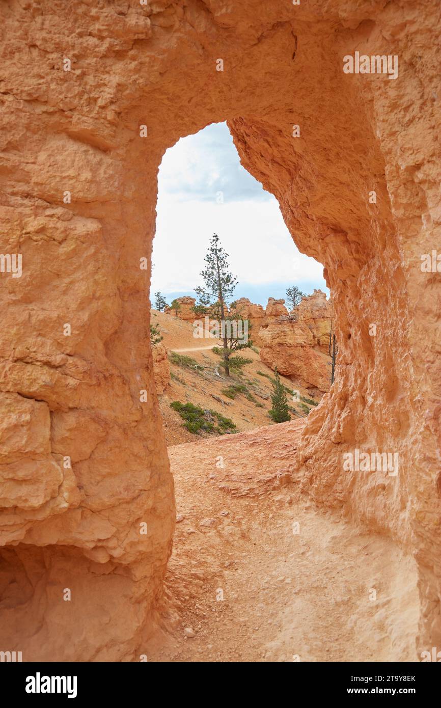 Hiking the Navajo Loop Trail in Bryce Canyon National Park Stock Photo ...