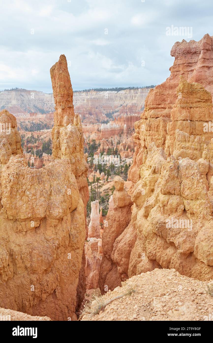 Hiking the Navajo Loop Trail in Bryce Canyon National Park Stock Photo ...
