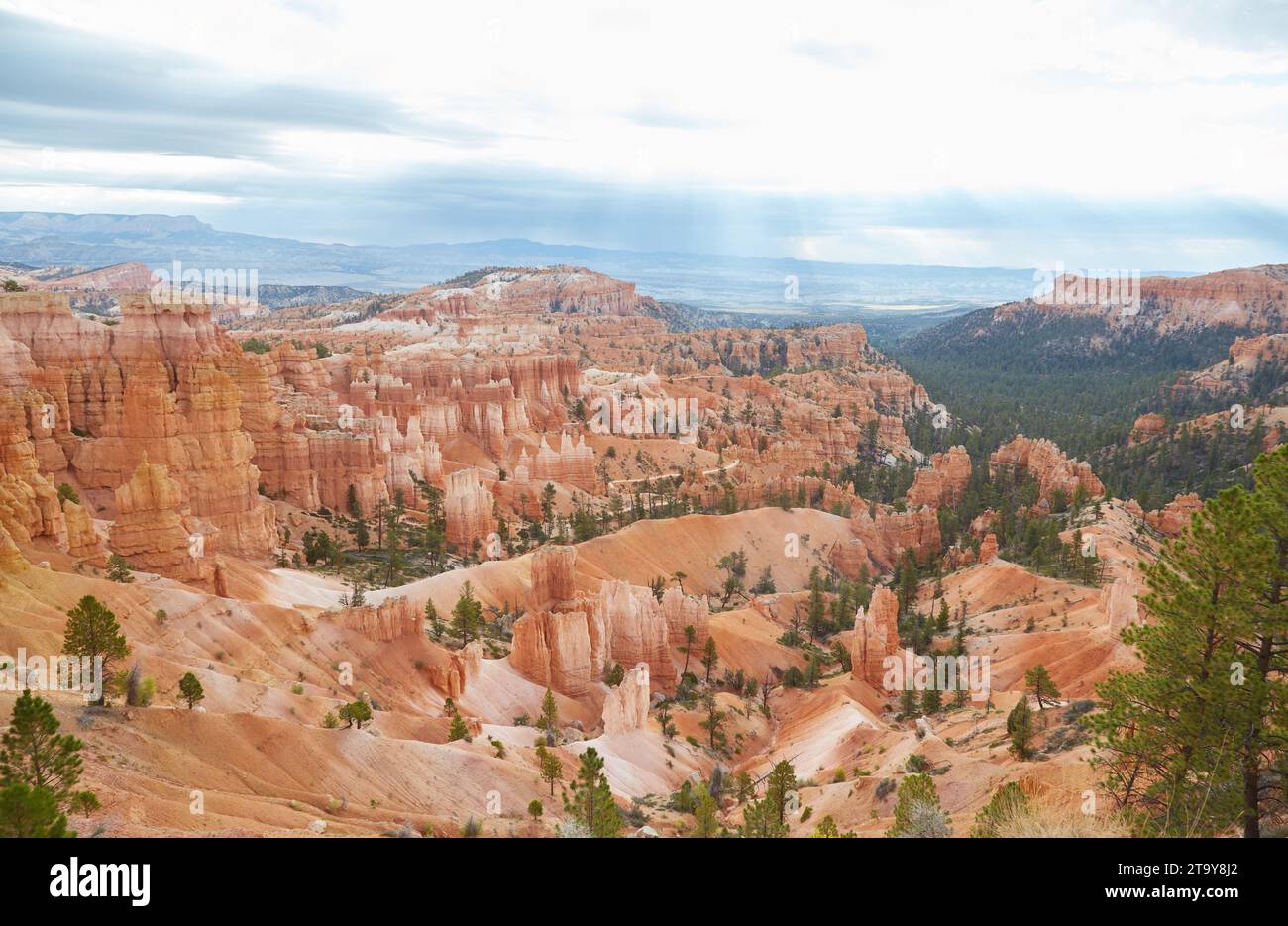 Hiking the Navajo Loop Trail in Bryce Canyon National Park Stock Photo ...