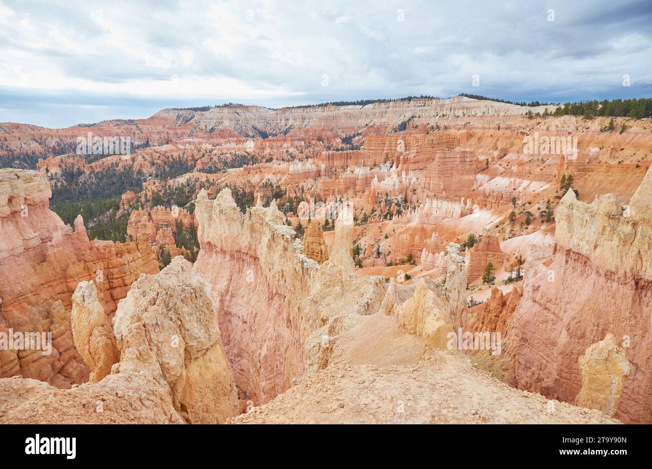 Hiking the Navajo Loop Trail in Bryce Canyon National Park Stock Photo ...