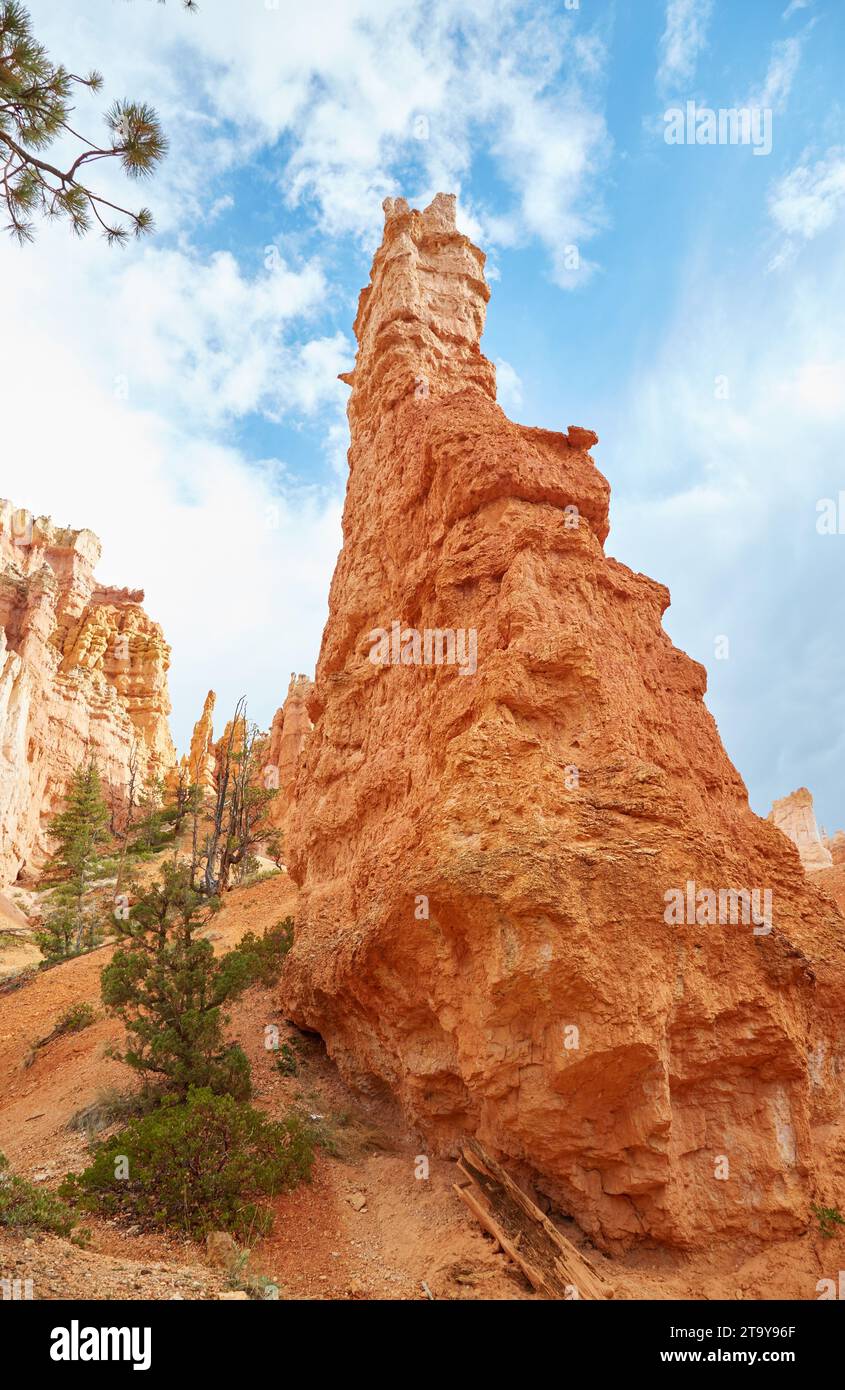 Hiking the Navajo Loop Trail in Bryce Canyon National Park Stock Photo ...