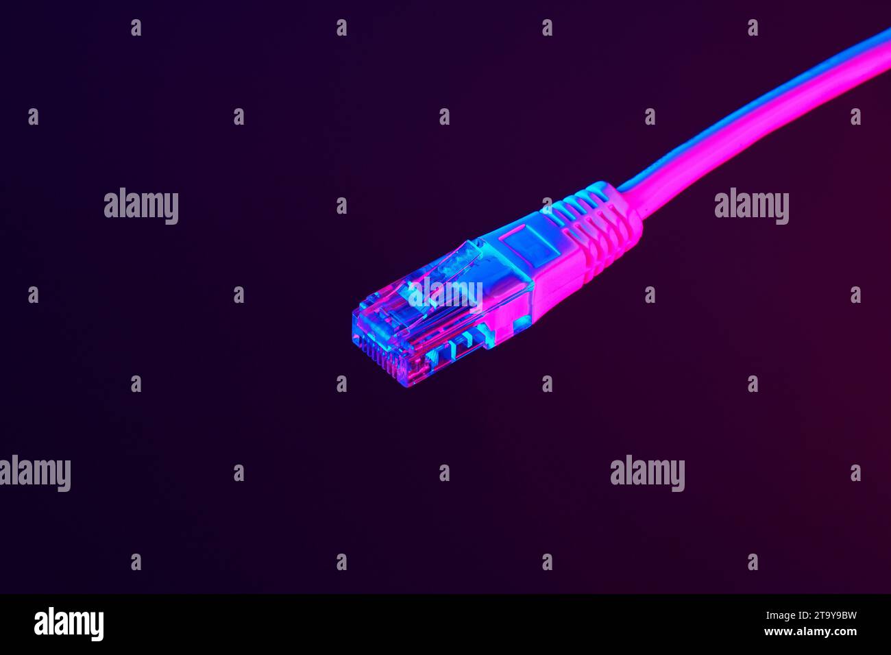 Modern technology network cable in neon light Stock Photo - Alamy