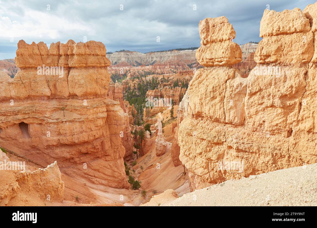 Hiking the Navajo Loop Trail in Bryce Canyon National Park Stock Photo ...