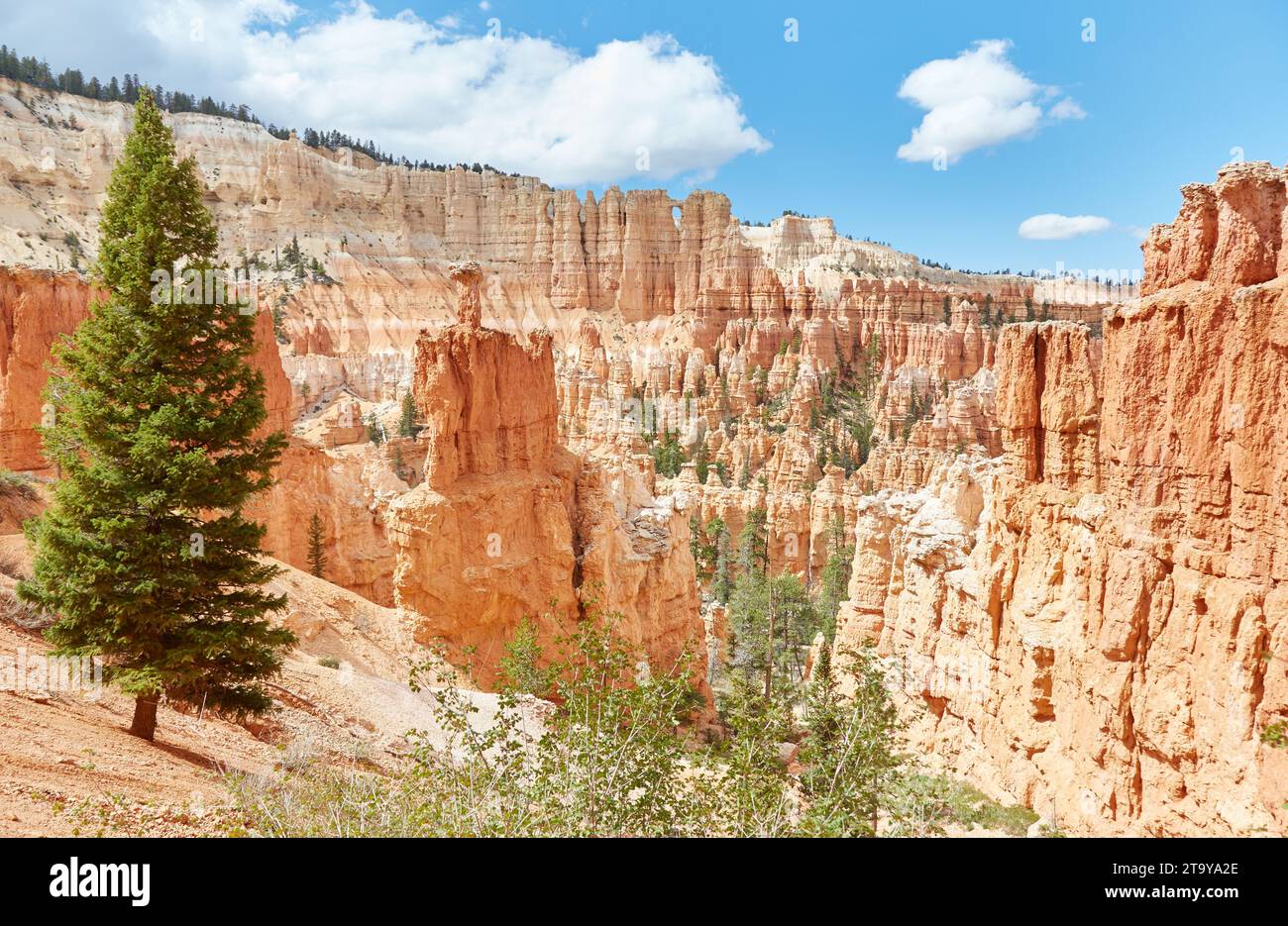 Hiking the Peekaboo Loop Trail in Bryce Canyon National Park Stock ...