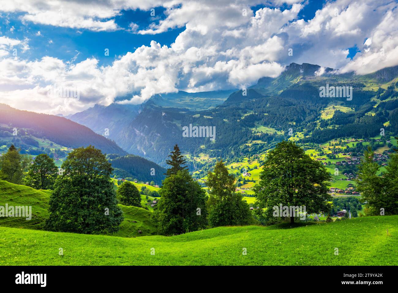 Grindelwald village view and summer Swiss Alps mountains panorama ...