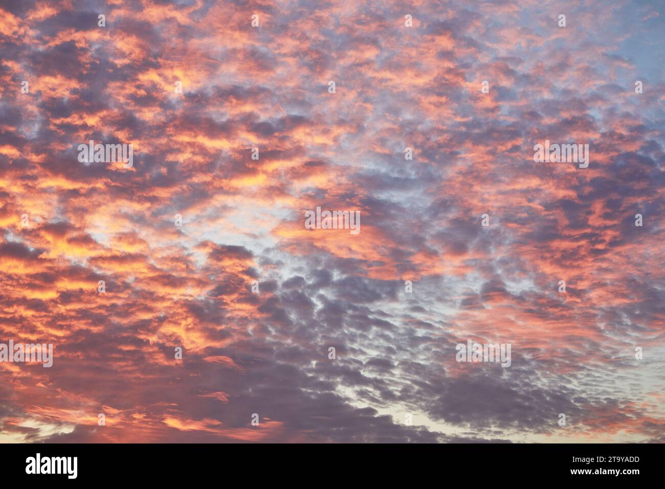 Red sunset clouds on blue sky. Background texture Stock Photo - Alamy