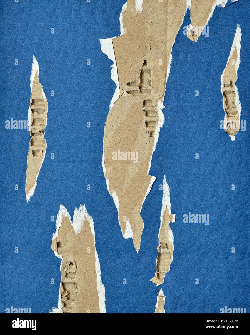 Collage style hi-res stock photography and images - Alamy