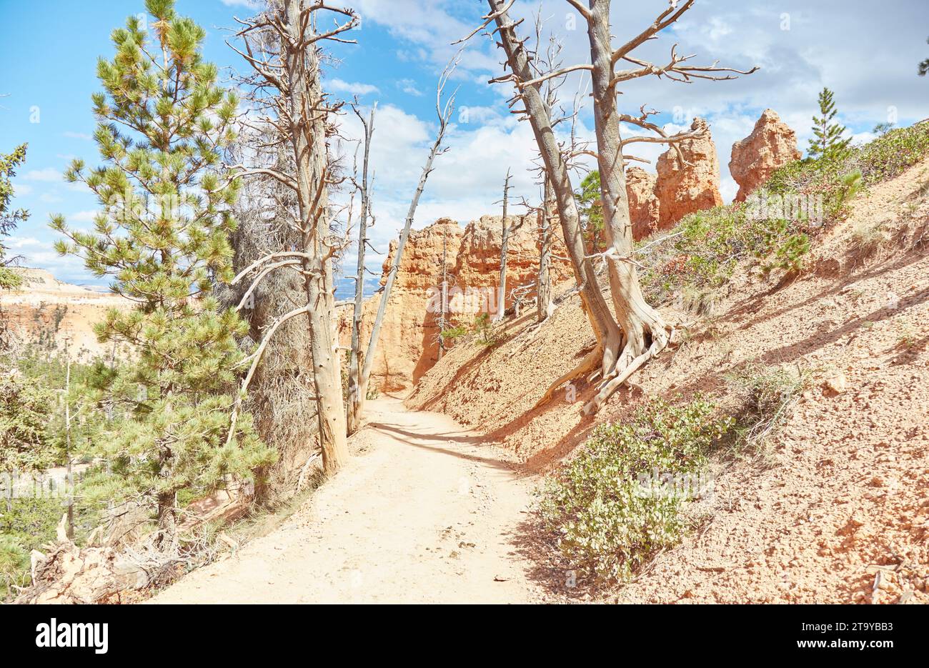 Hiking the Peekaboo Loop Trail in Bryce Canyon National Park Stock ...
