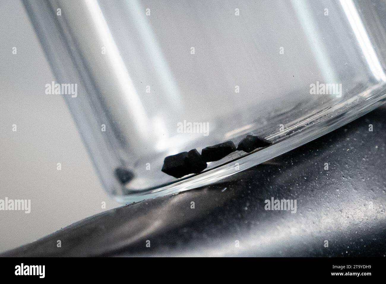 Bennu natural history museum hi-res stock photography and images - Alamy