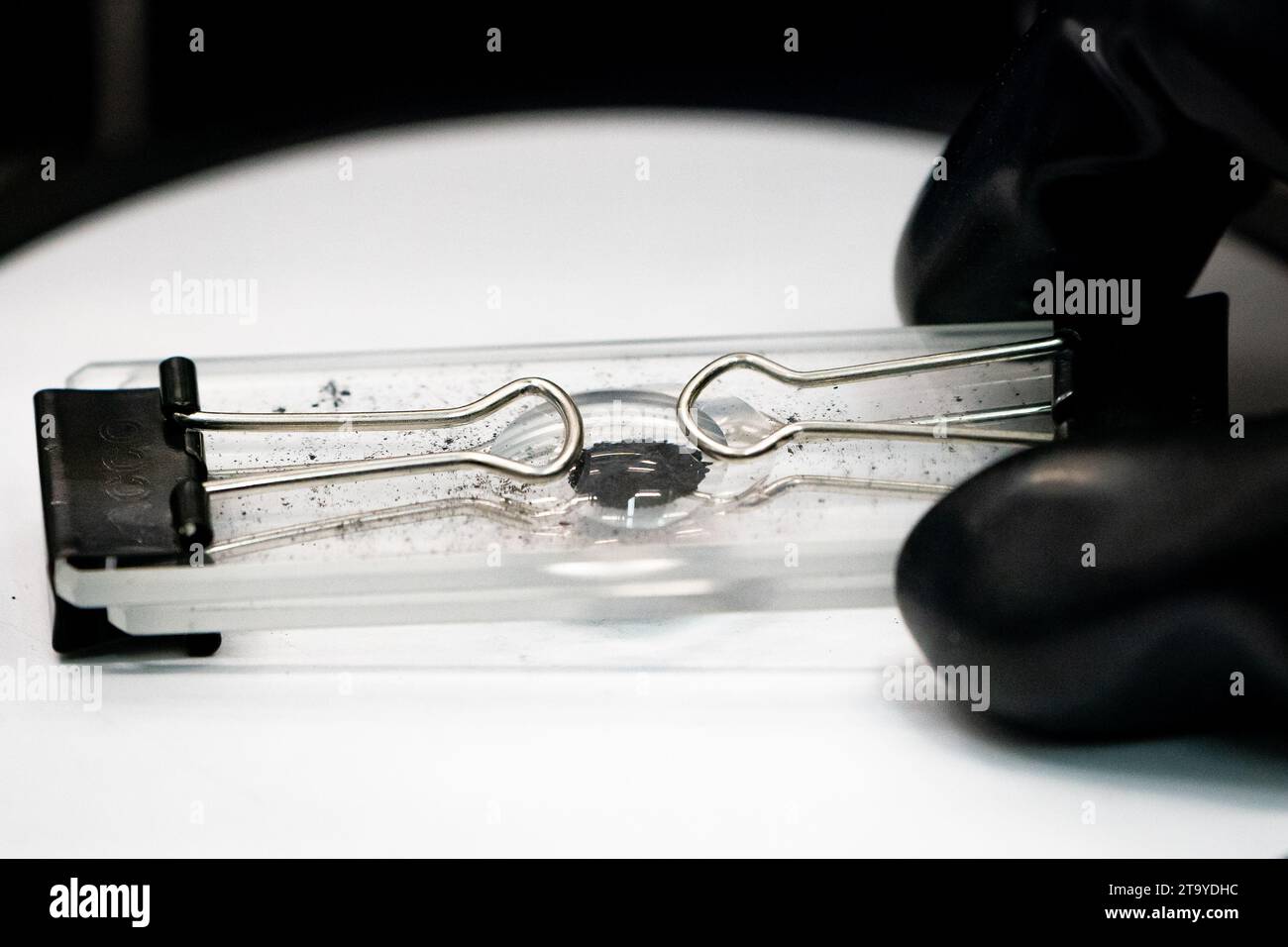 Scientists at the Natural History Museum in London, study a sample of ...