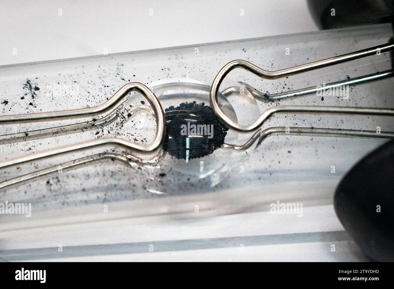 Scientists at the Natural History Museum in London, study a sample of ...