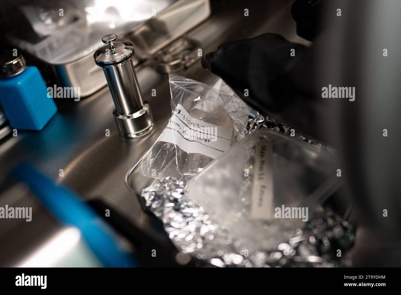 Scientists at the Natural History Museum in London, study a sample of ...