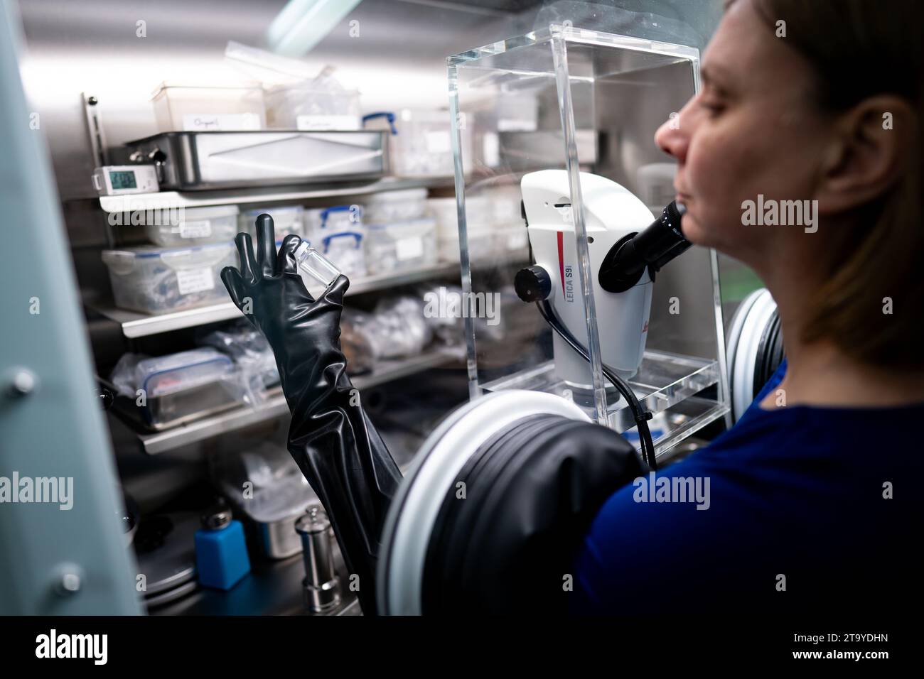 Scientists at the Natural History Museum in London, study a sample of ...