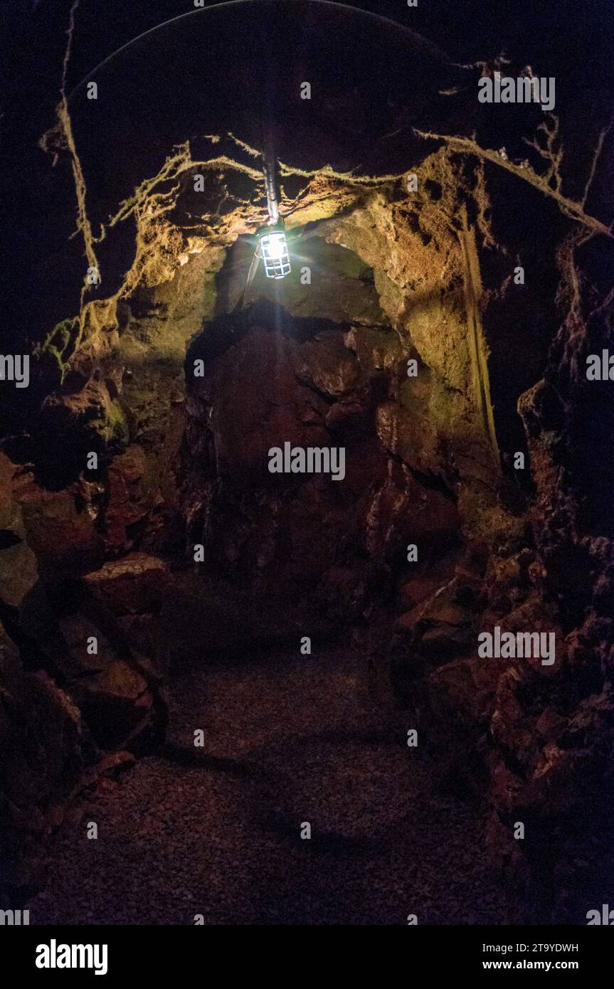 Reed Gold Mine State Historic Site in Cabarrus County, North Carolina ...