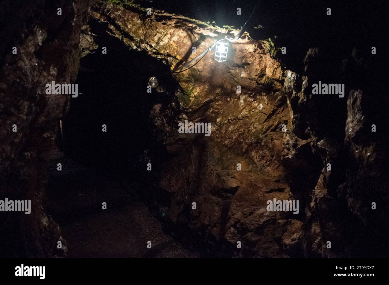 Reed gold mine artifacts hi-res stock photography and images - Alamy