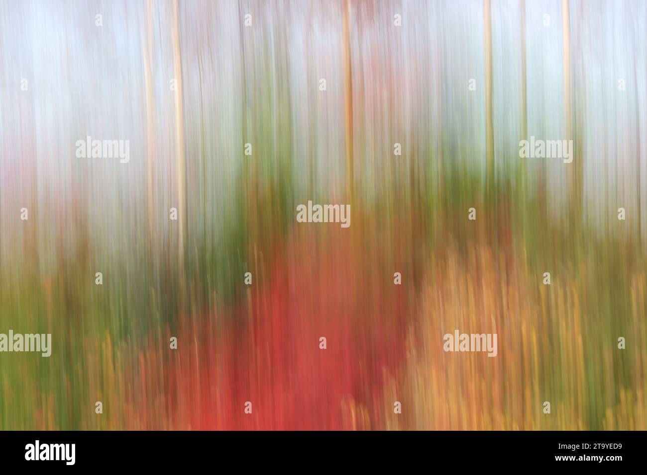 Abstract autumn colours Stock Photo - Alamy