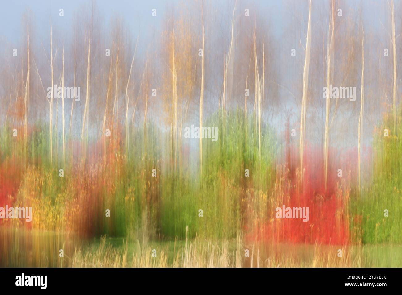 Abstract autumn colours Stock Photo - Alamy