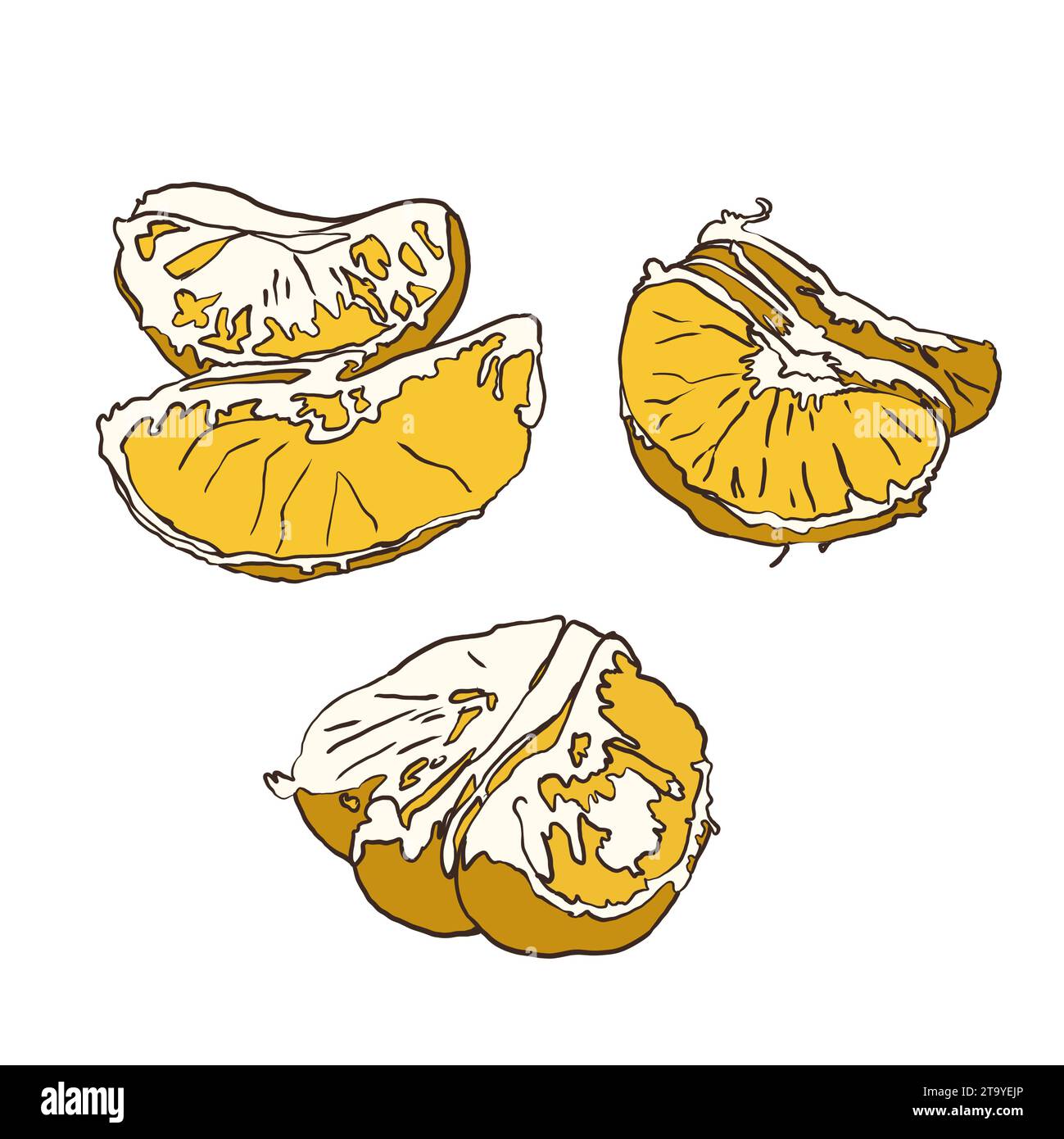 Collection of fruits in cartoon style fruit food cartoon hi-res stock ...