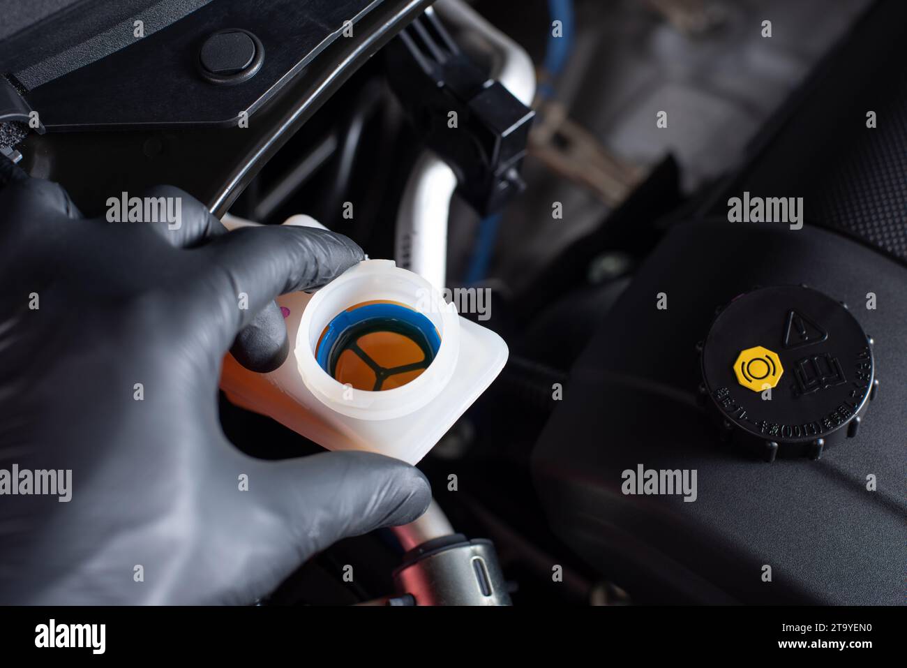 Checking the level of car's brake fluid. Car maintenance concept Stock ...