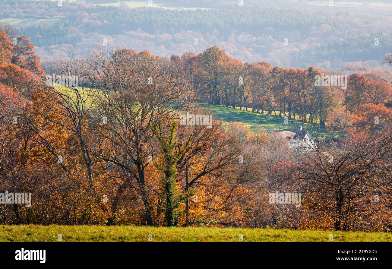 Autumn hiking over the high weald towards Burwash Common in east Sussex ...