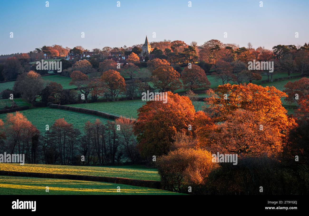 Autumn dawn sunlight on St Giles church and surrounding woodland ...