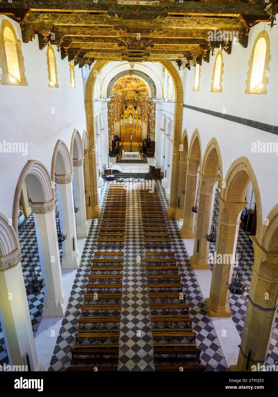 Central nave and his Truss painting ceiling (1511-1514) in the ...