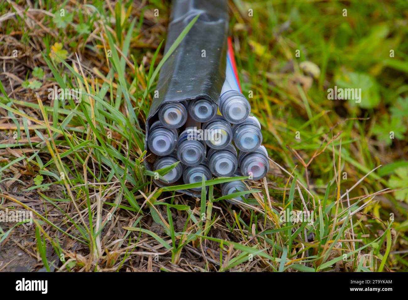 Bundle of fiber optic cables for fast internet laying in the grass at a ...