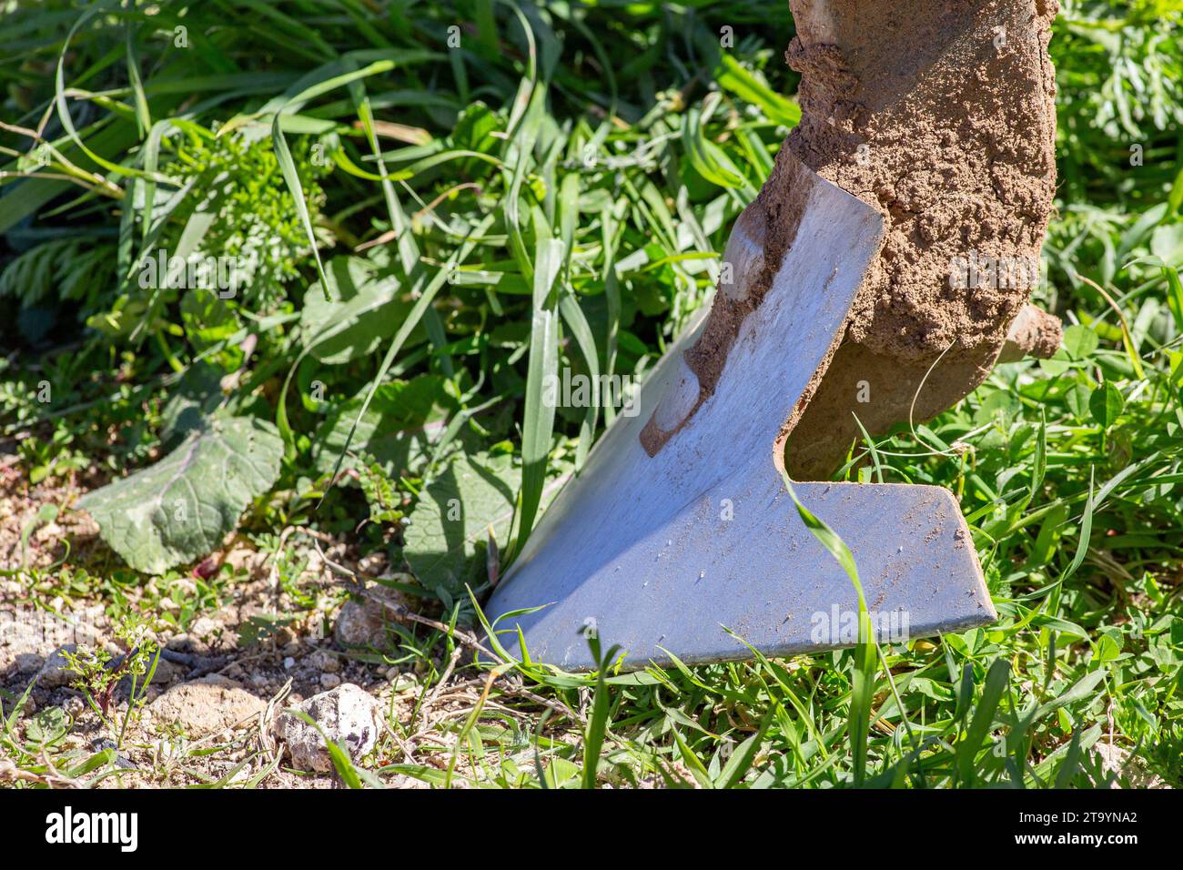 The old grubber with green background Stock Photo - Alamy