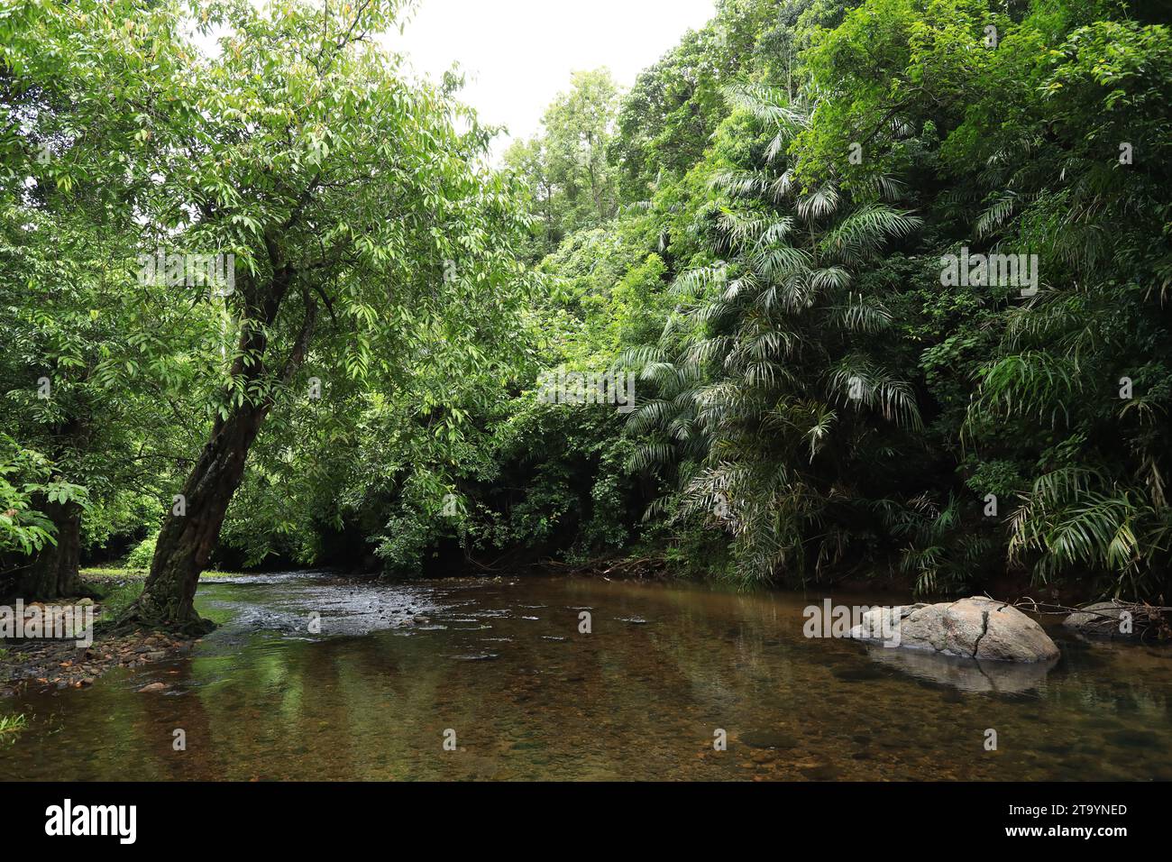 Naturebauty hi-res stock photography and images - Alamy