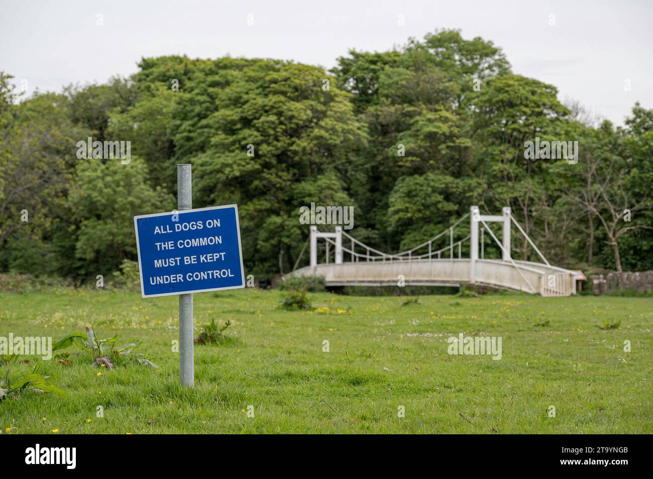 A sign saying, "all dogs must be kept under control", with a green ...
