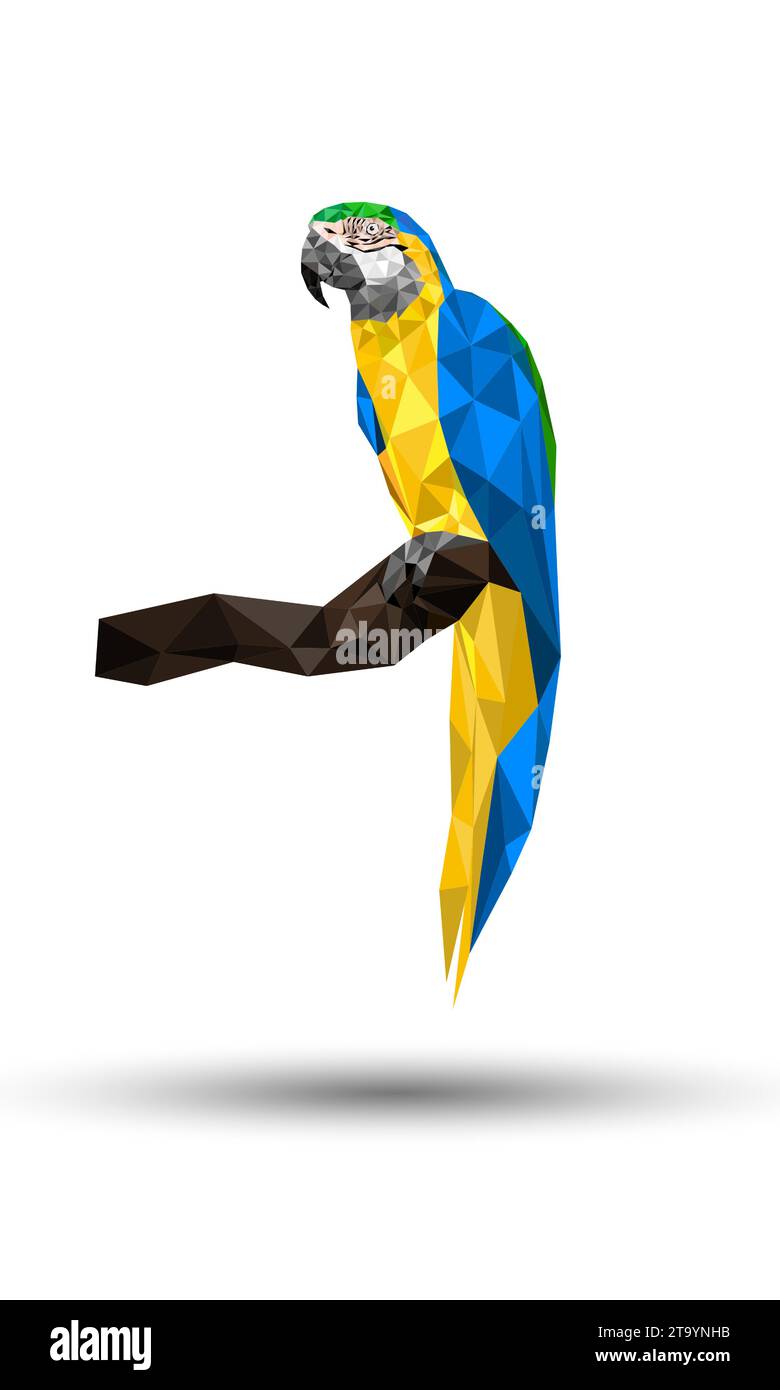 Polygon drawing macaw Parrot on a branch with isolated white background ...