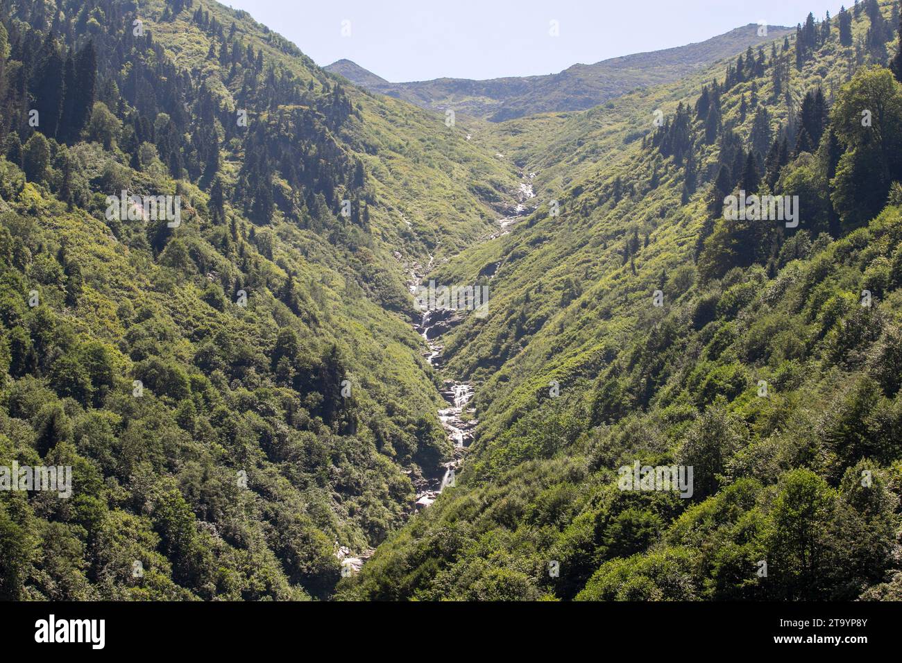 Bridal Tulle Waterfall. Natural waterfall located in Rize Ayder plateau ...