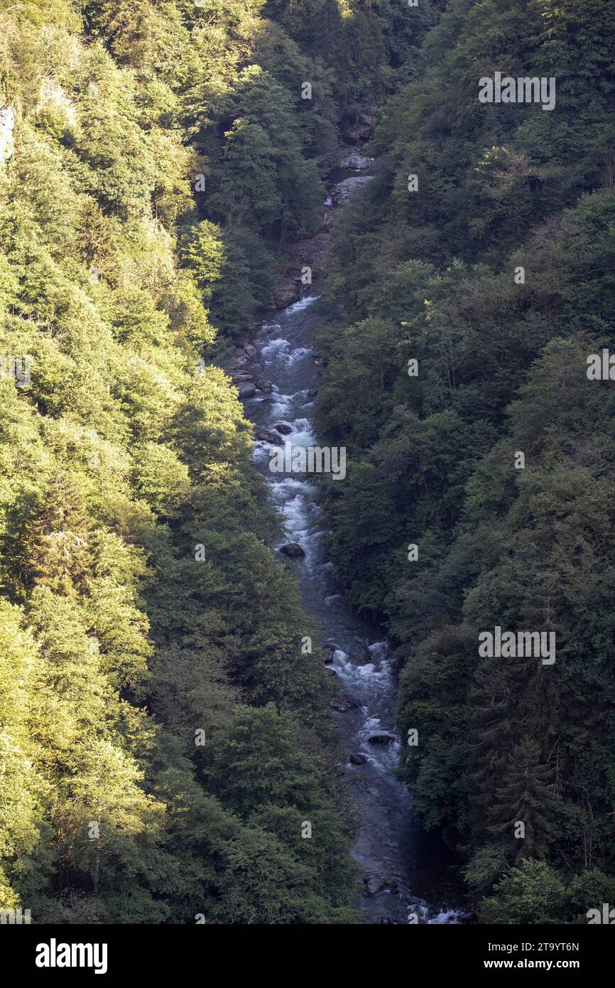 Storm stream. River flowing through the forest. It was shot in Rize ...