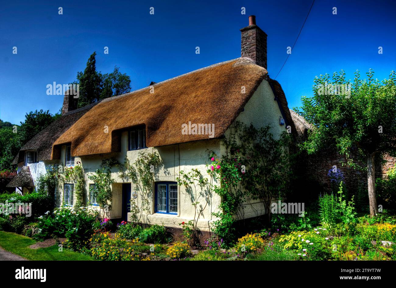 Thatched Cottage in Dunster Stock Photo - Alamy