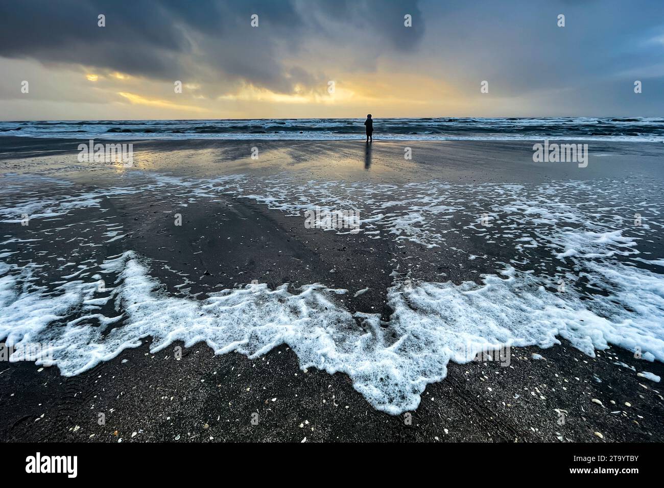 Golden sunlight, low hanging rain clouds and incoming tide during a ...