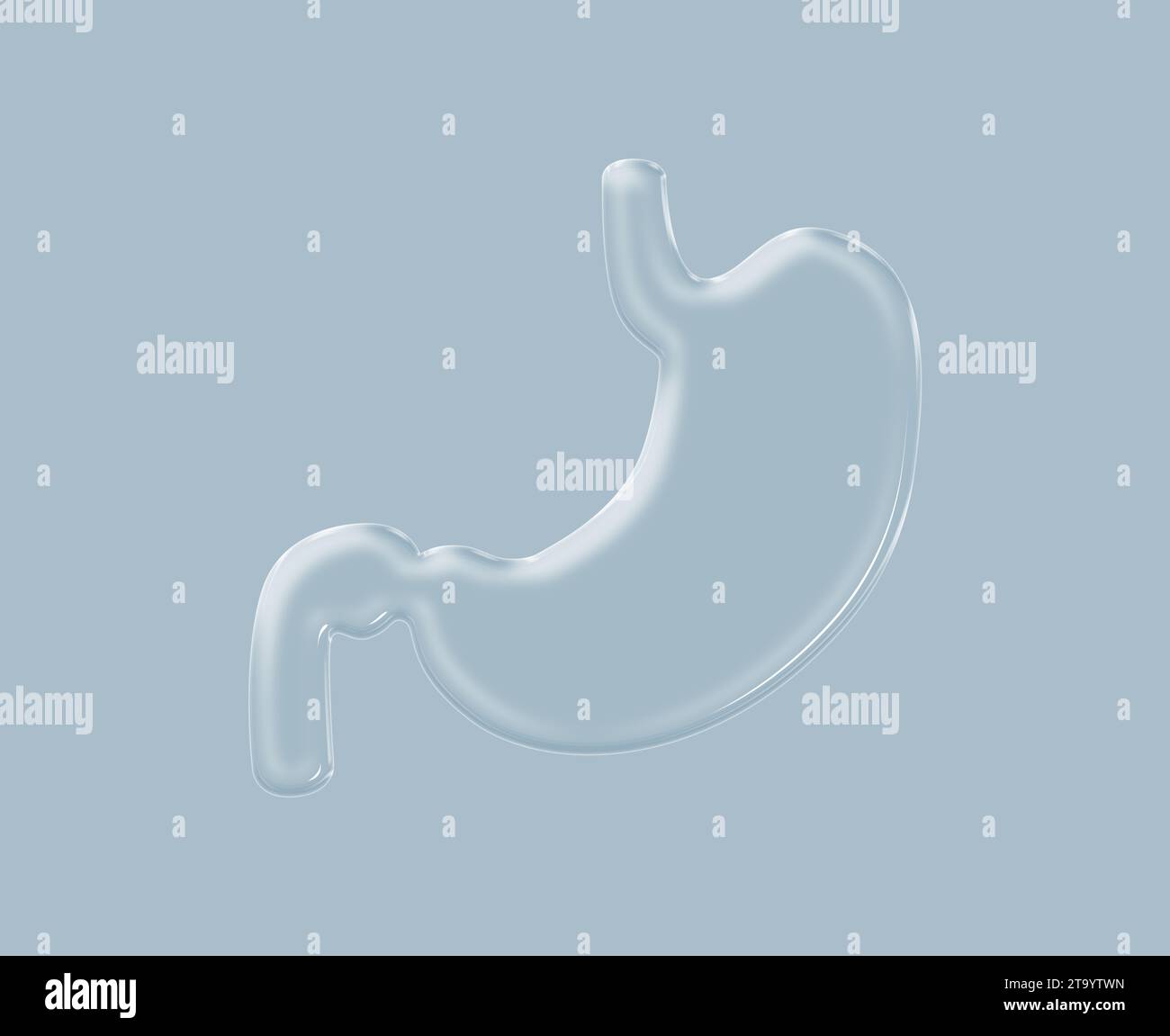 Human body organ stomach organism concept and medical 3d model. Human ...