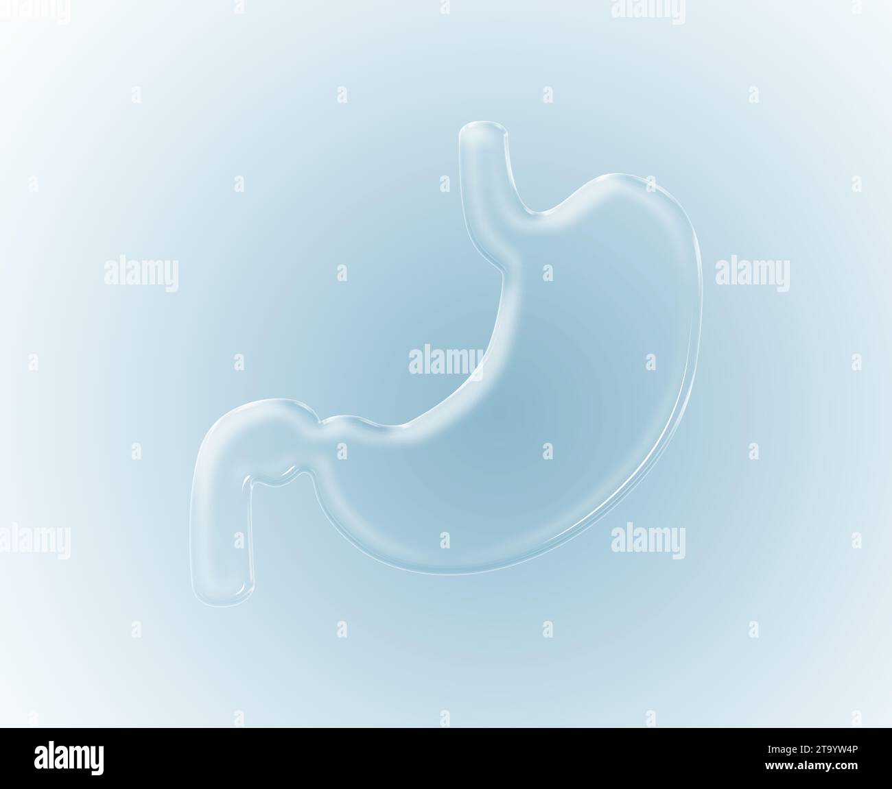 Human body organ stomach organism concept and medical 3d model. Human ...