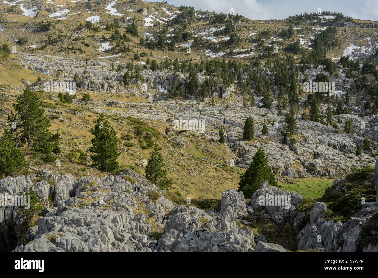 Limestone pavement high on the Col de la Pierre Saint-Martin with ...