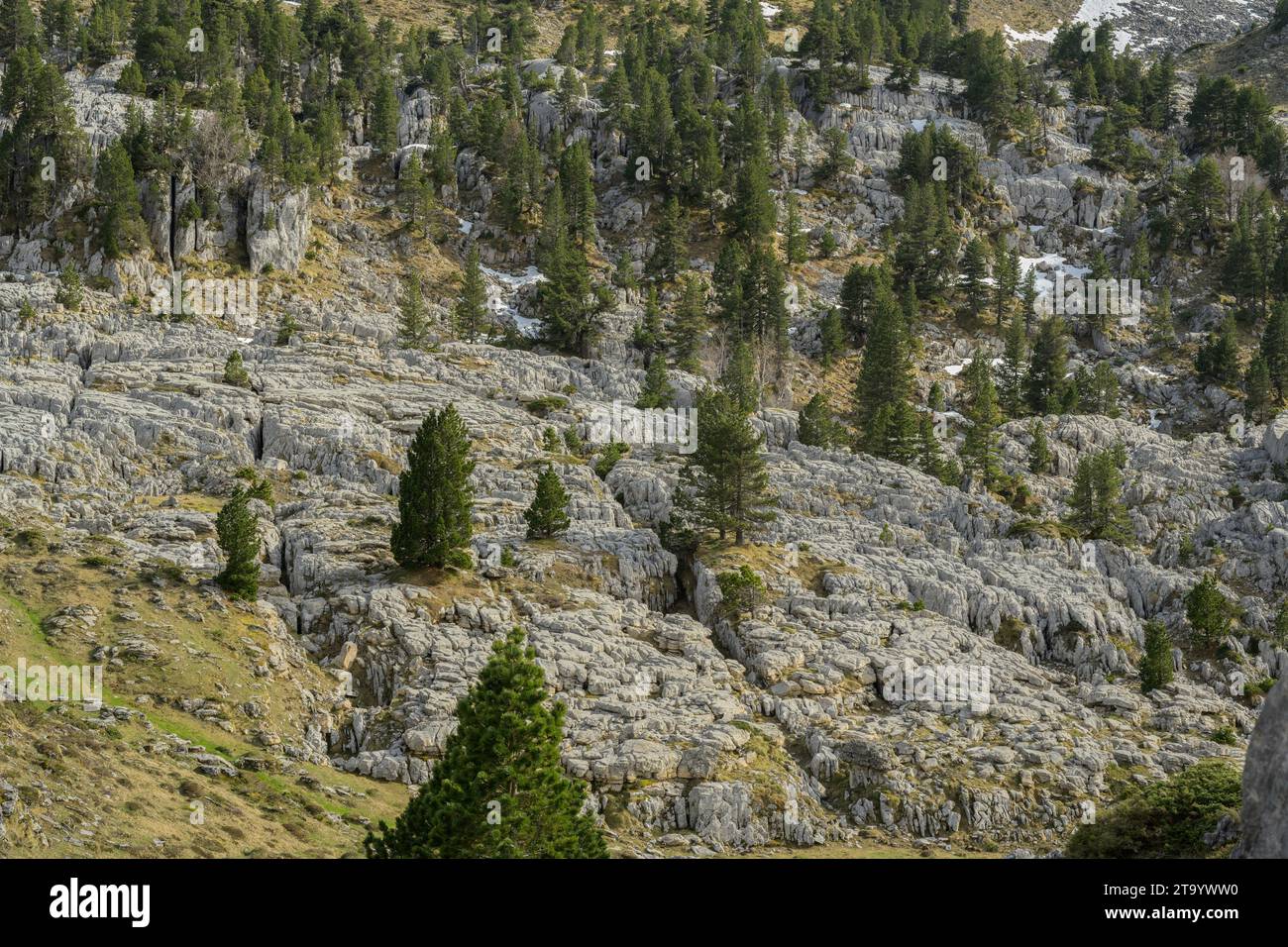 Limestone pavement high on the Col de la Pierre Saint-Martin with ...