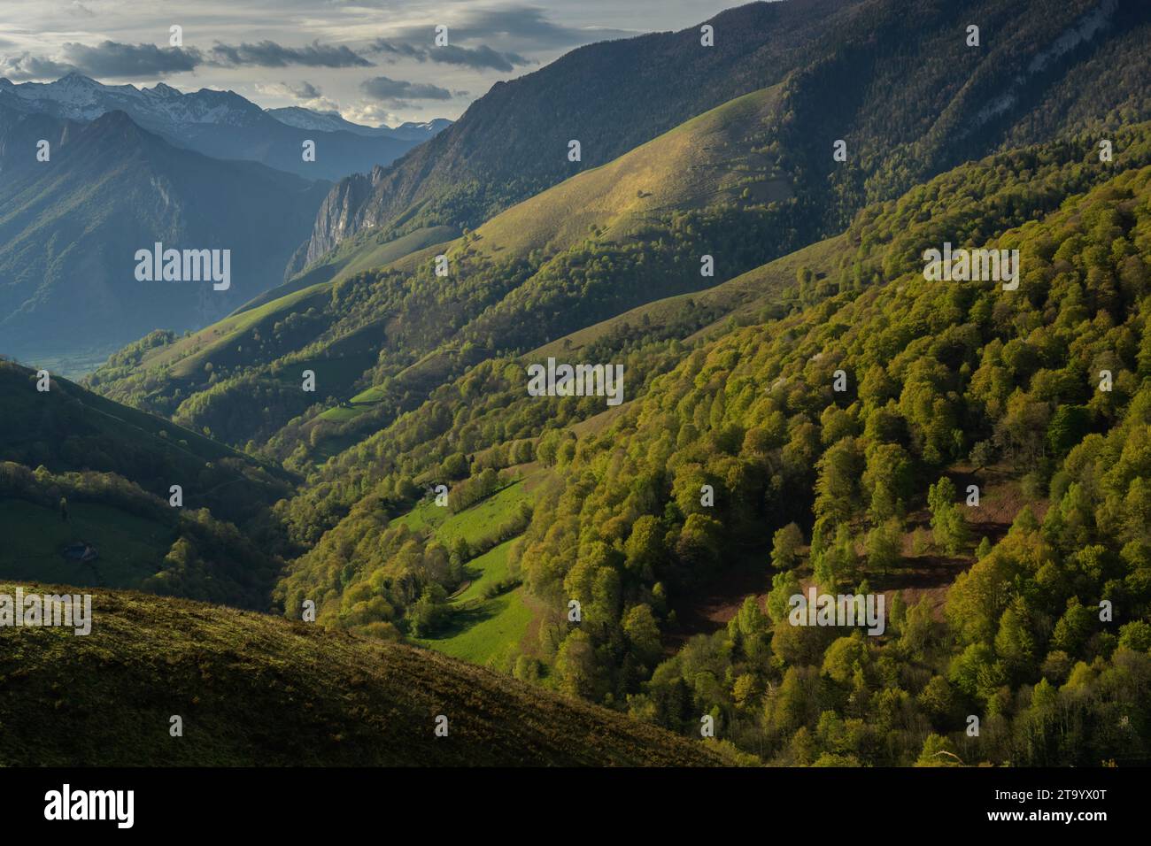 View south-west from the Col de Bouesou over the Foret d'Issaux, near ...