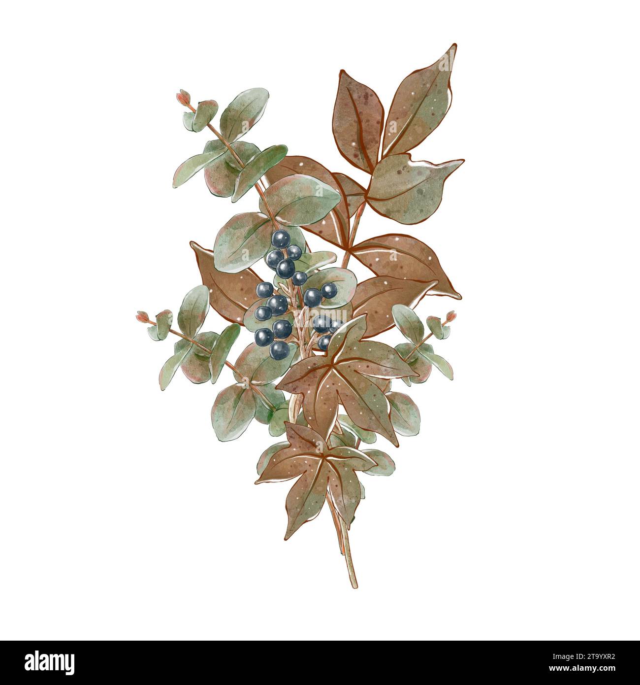 Watercolor boho bouquet with greenery branches and blue berries. Hand ...