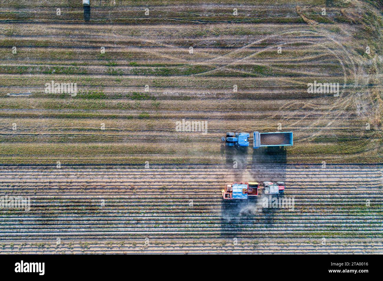 Aerial top view combine harvester hi-res stock photography and images ...