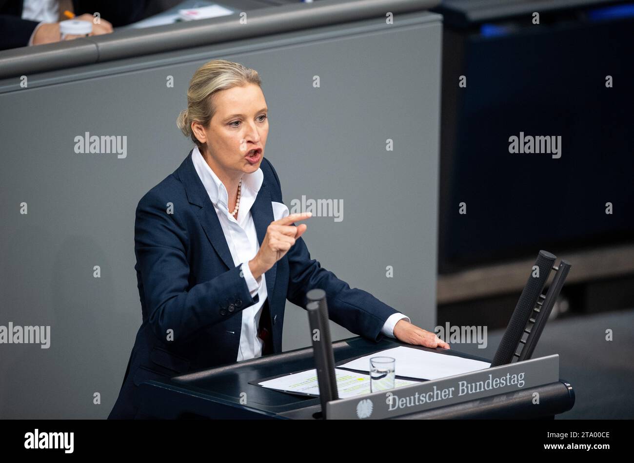Berlin, Germany. 28th Nov, 2023. Alice Weidel, leader of the AfD ...