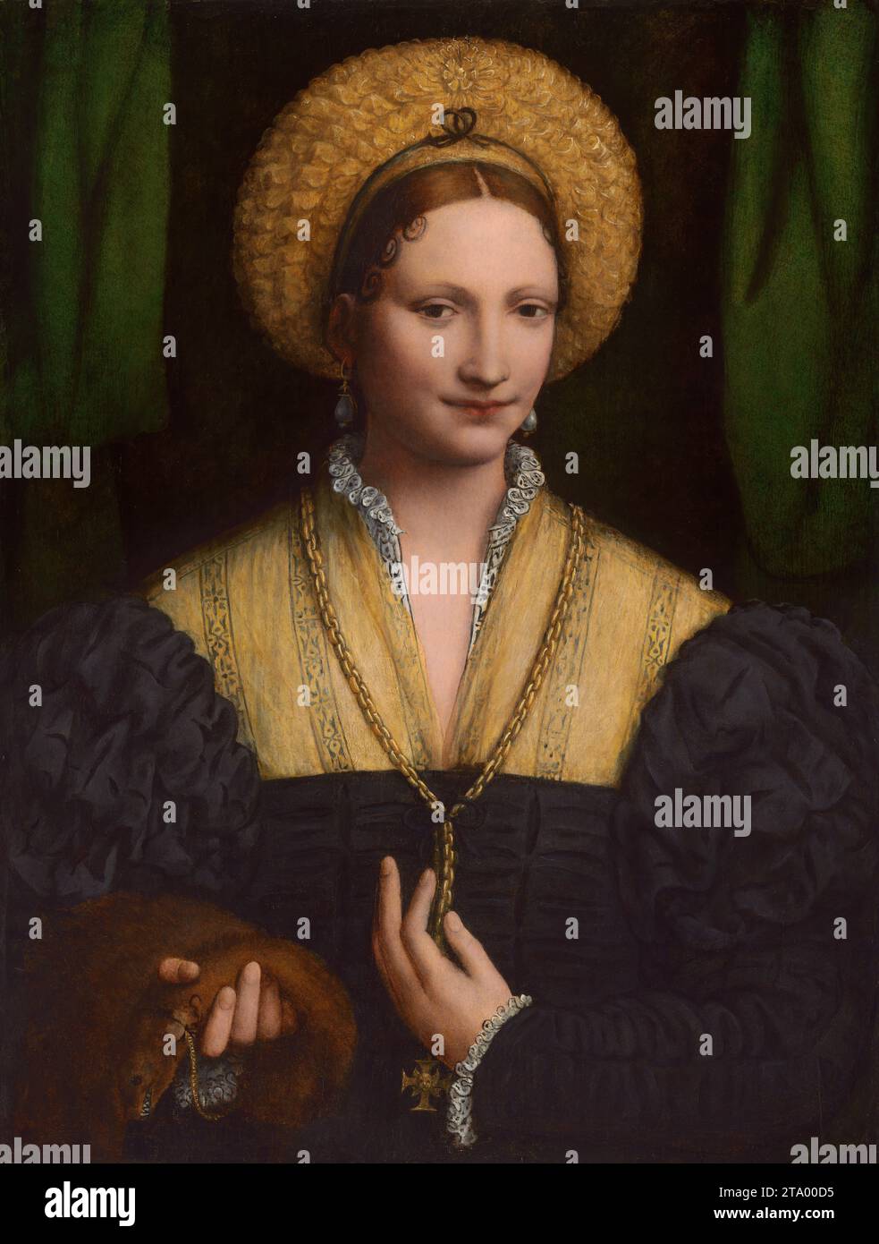 Bernardino Luini Lady with a Flea Fur, 1520s - Portrait of a Lady Stock ...