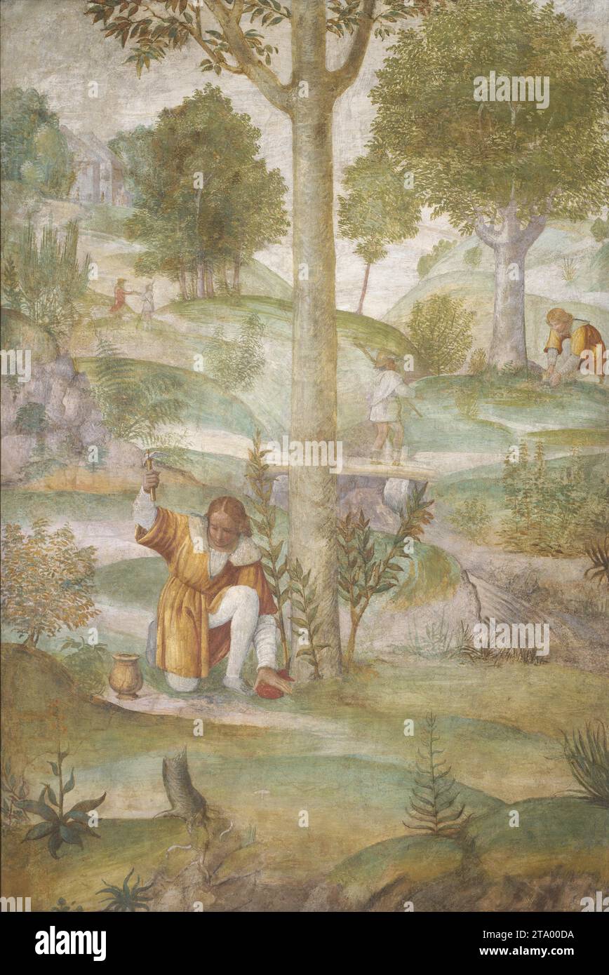 Cephalus hi-res stock photography and images - Alamy