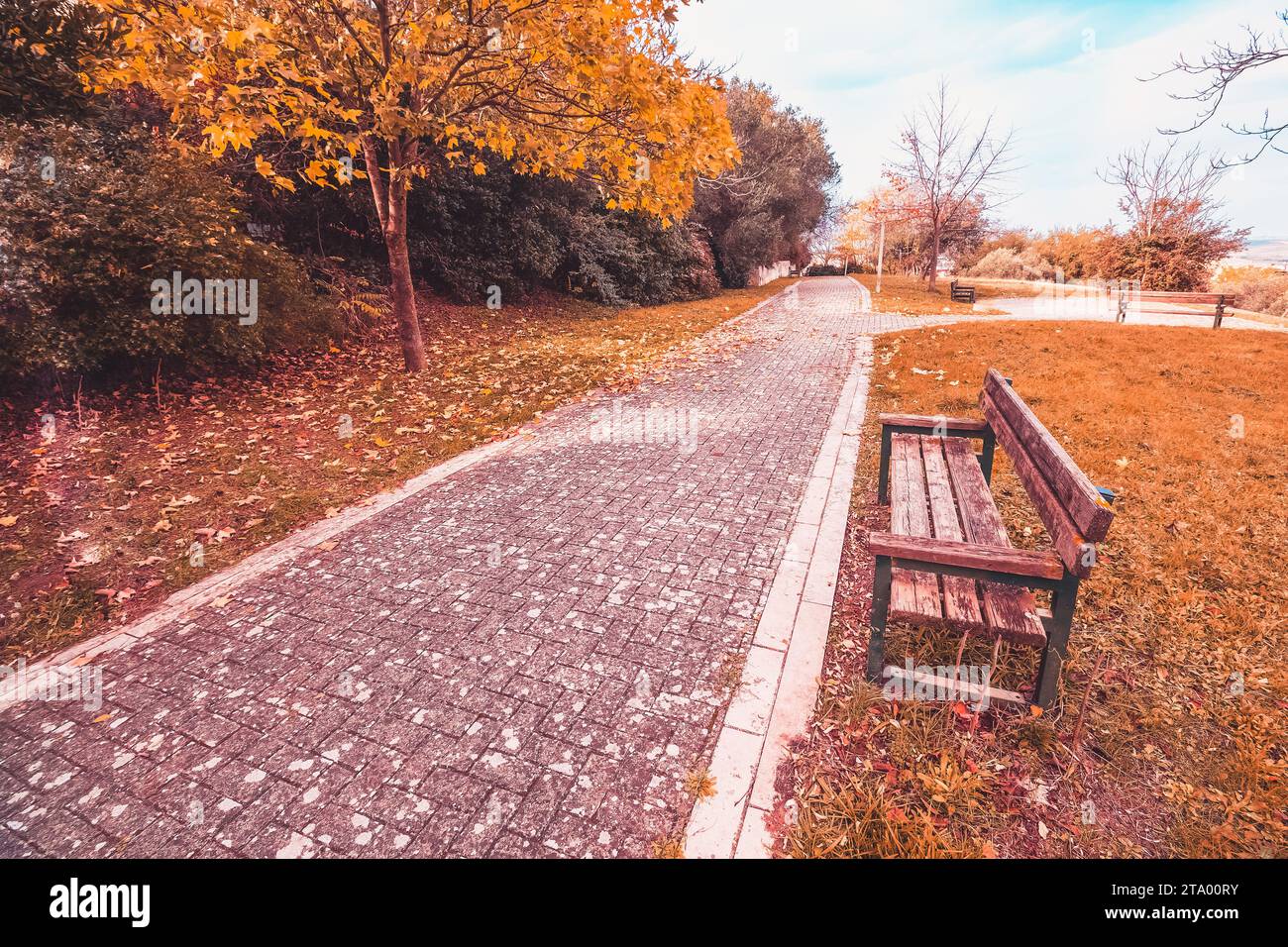 Red fall leaves bench yellow hi-res stock photography and images - Alamy