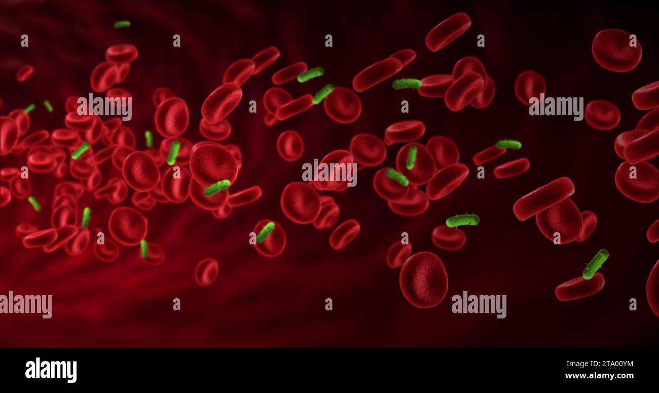red blood cells in an artery near virus and bacteria, flow inside body ...