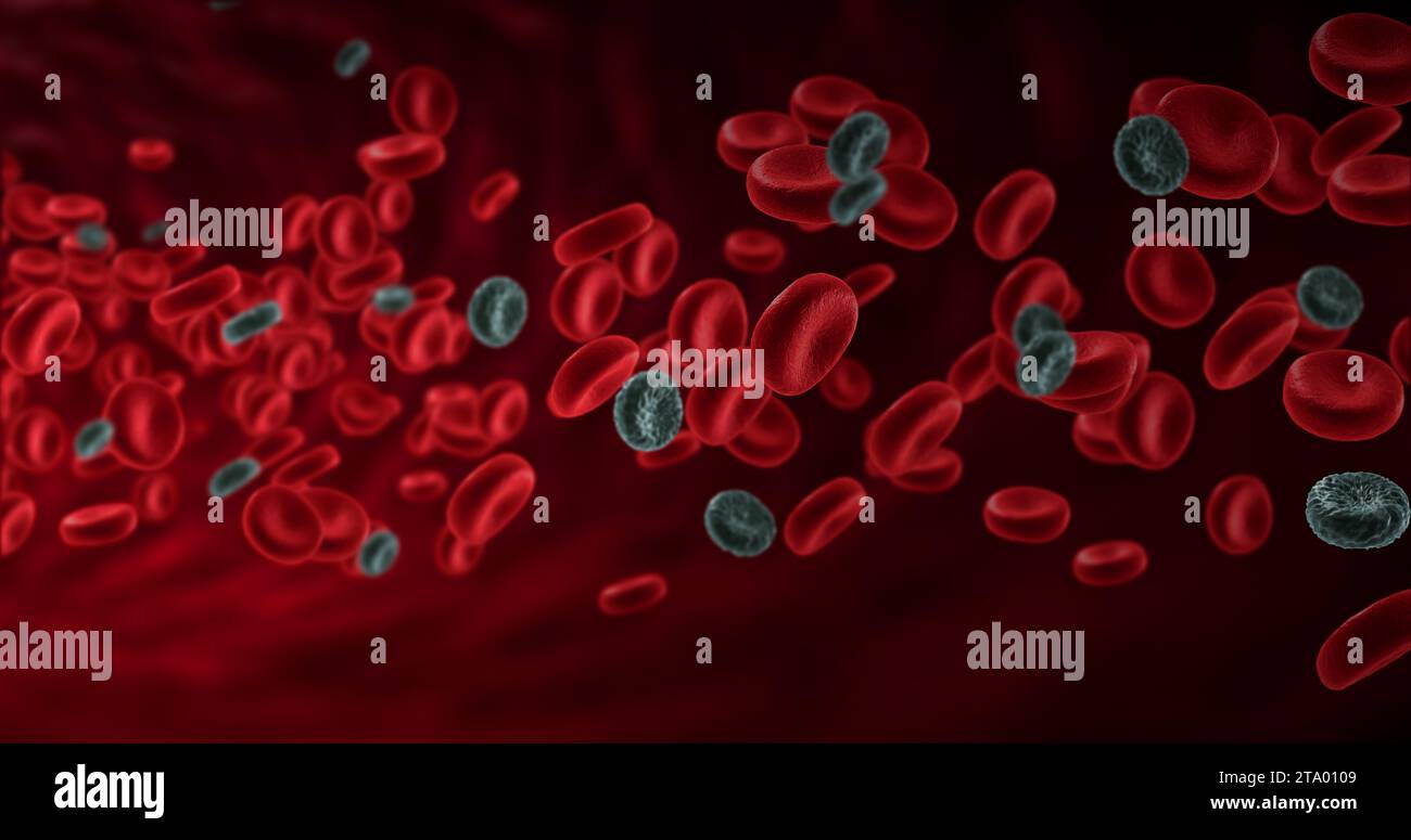 red blood cells in an artery with diseased cancer cells, flow inside ...