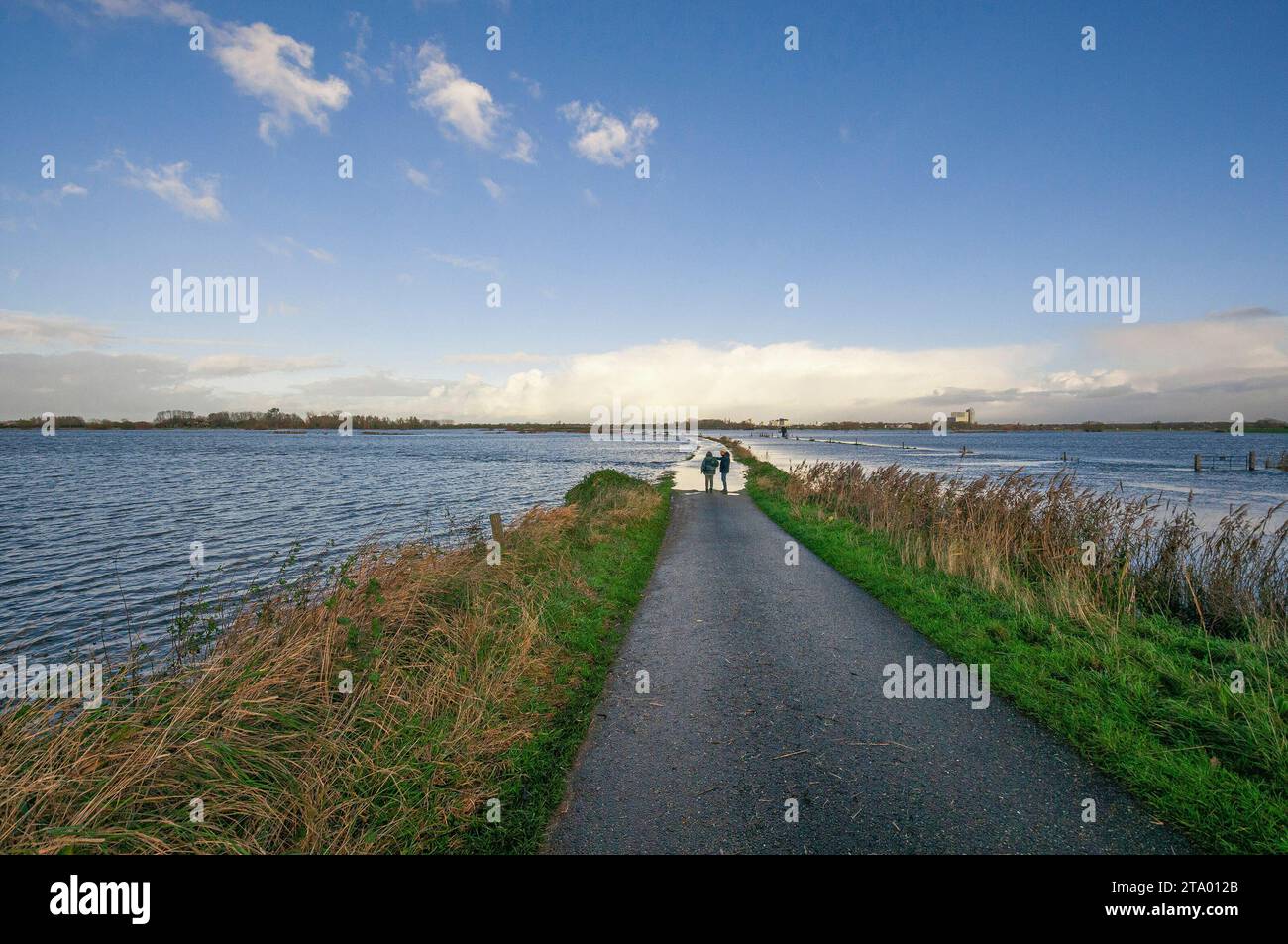Flooded area, due to heavy rain and wind factor, leaves fields ...