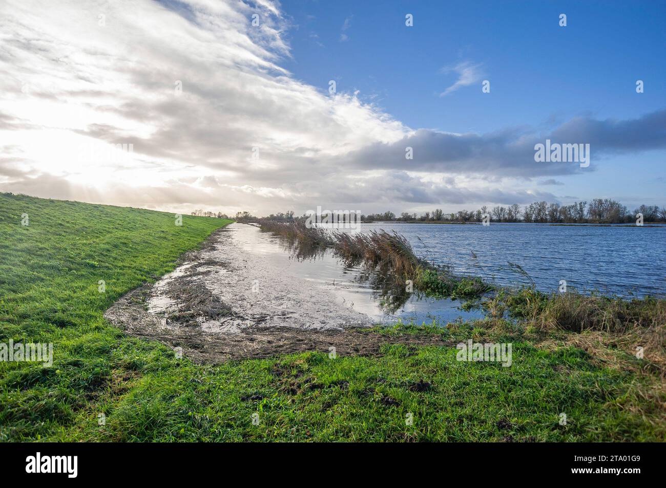 Netherlands. 25th Nov, 2023. Flooded area, due to heavy rain and wind ...